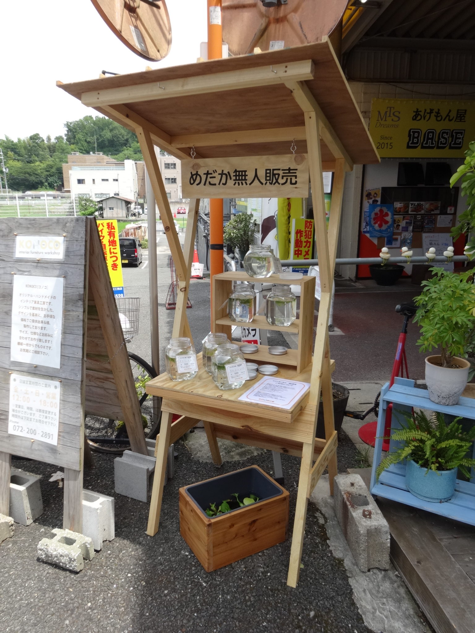 「めだか無人販売所」始めてみました。^^ ～マルシェ・ワゴン製作します～ | KONOCO【コノコ】interior,funiture workshop